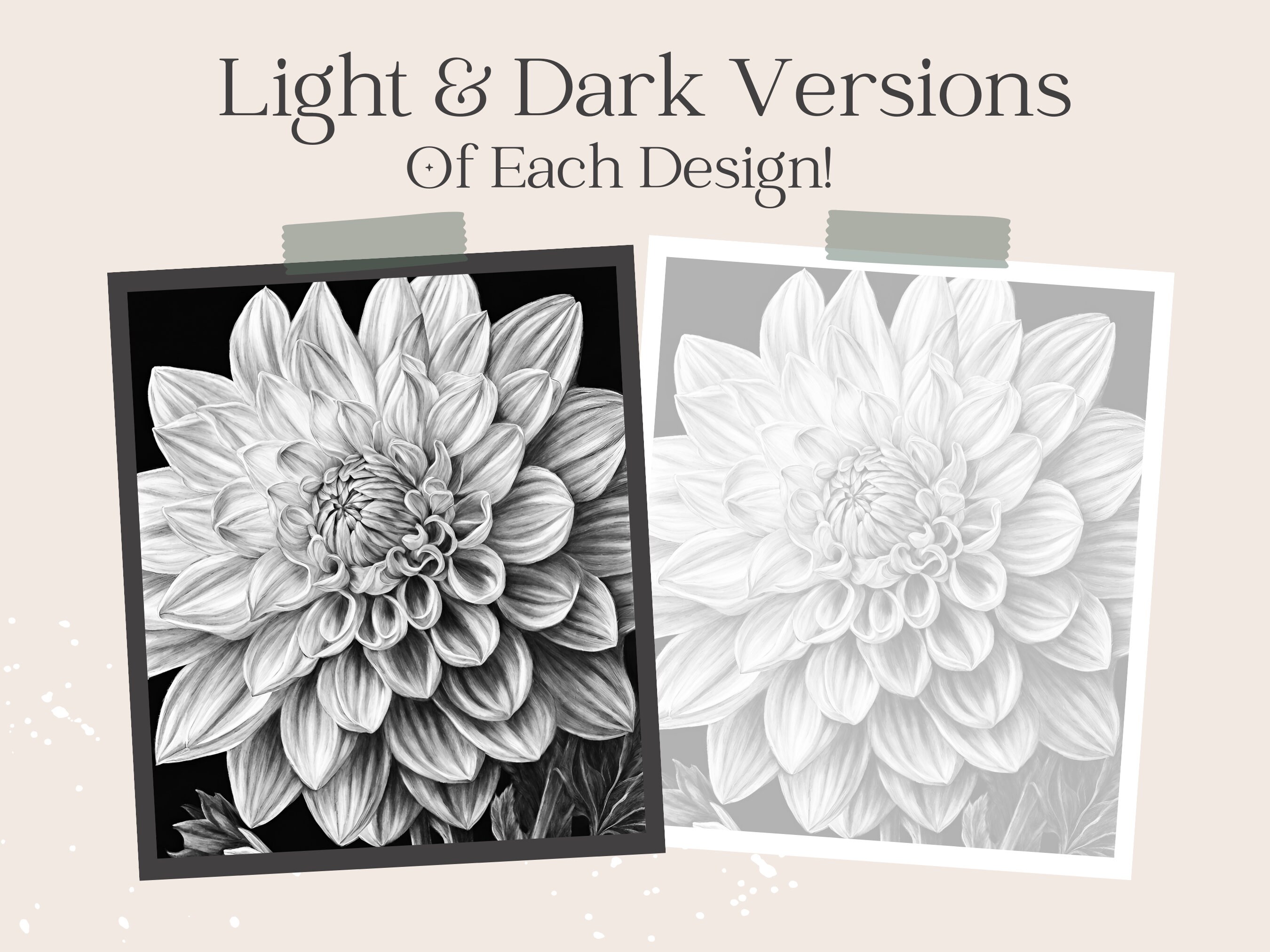 Garden Blooms Set 1 Floral Coloring Sheet Set, Printable, Adult ...