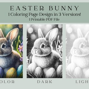 Easter Bunny Printable Coloring Page Spring Rabbit Coloring Sheet, Fun ...