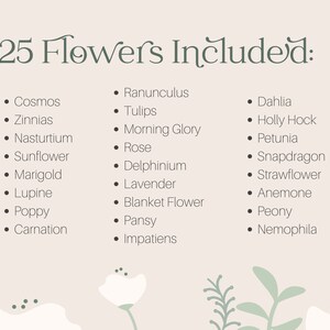 Garden Blooms Set 1 Floral Coloring Sheet Set, Printable, Adult ...