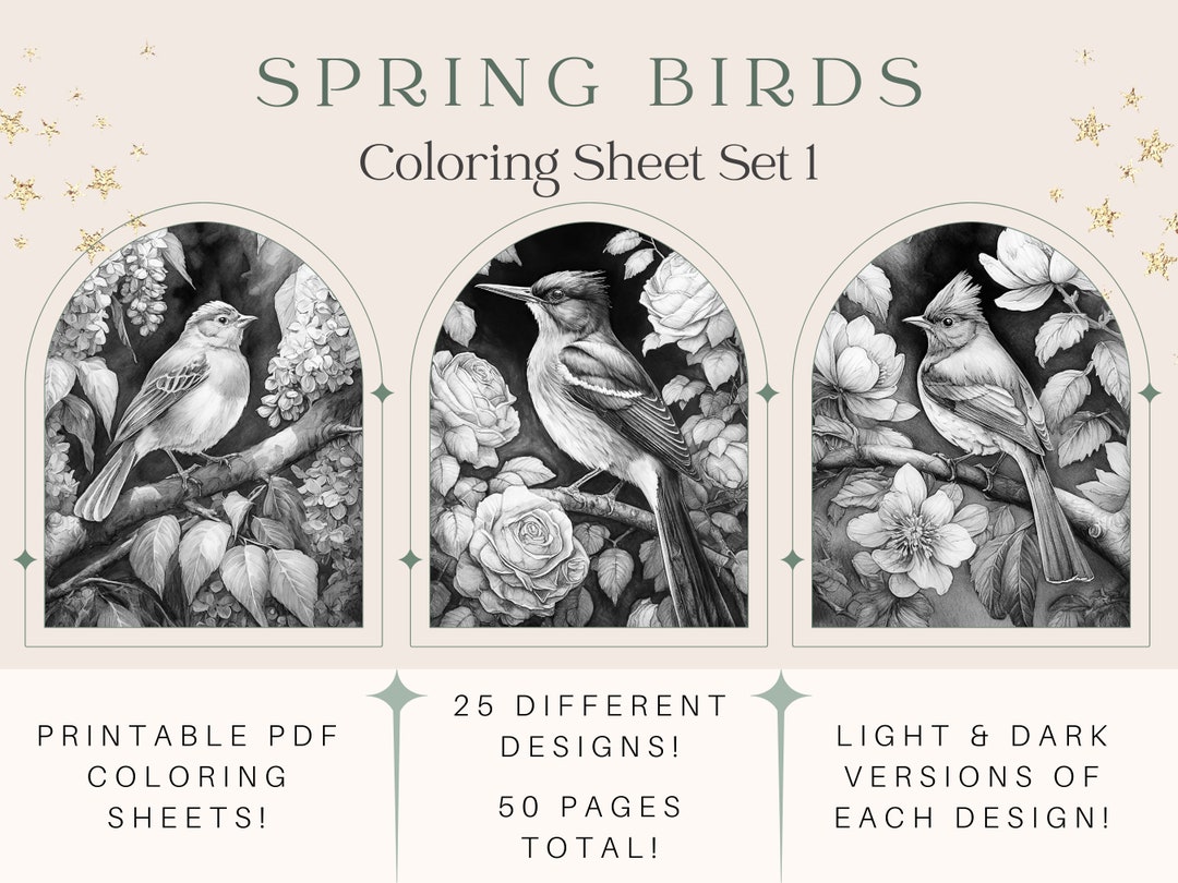Spring Birds Set 1 Floral Bird Coloring Sheets, Spring Nature Theme ...