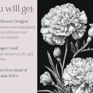 Garden Blooms Set 1 Floral Coloring Sheet Set, Printable, Adult ...