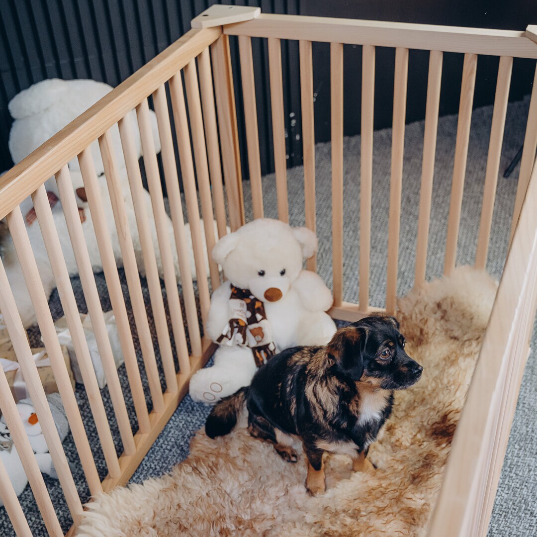 Dog Sanctuary, Premium Enclosure, Designer Customized Furniture - Etsy