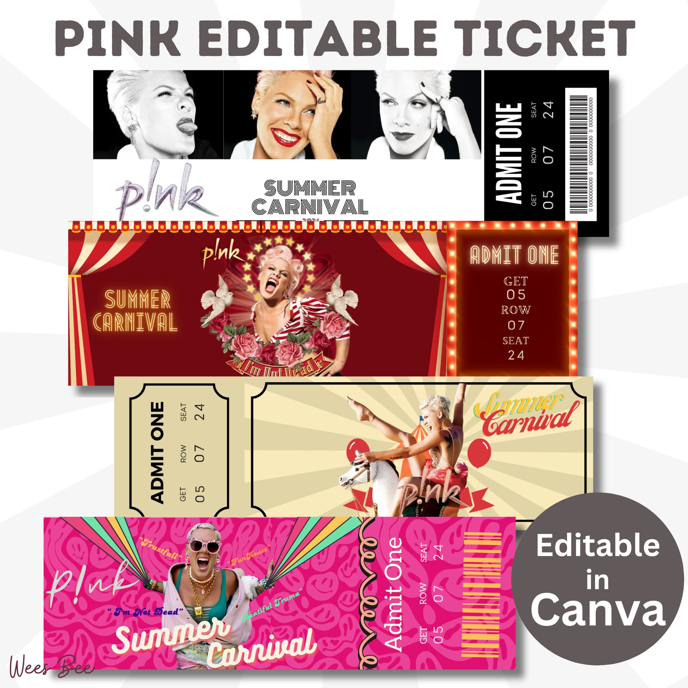 Surprise Pink Summer Carnival 2024 Concert Ticket,pink Keepsake Tour ...