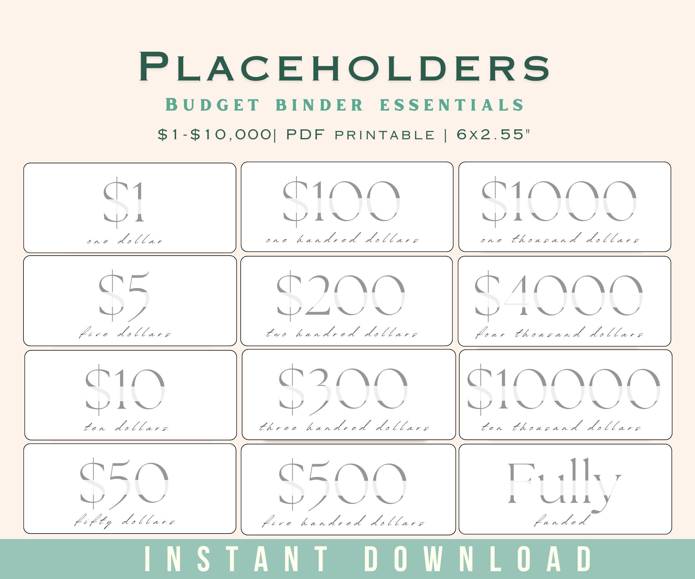 Simple Placeholders for Cash Stuffing, Printable Budget Binder ...