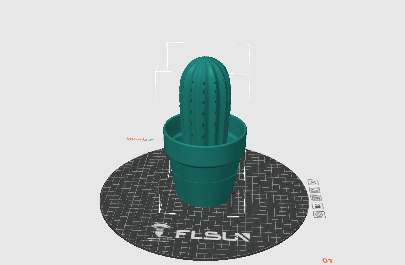 Cactus STL | 3D Print Toothpick Holder & Succulent Home Decoration - Etsy