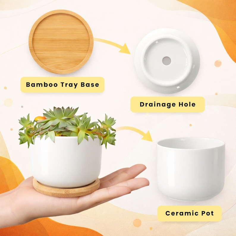 70th Birthday Gift for Women, Personalized Birth Flower Plant Pot ...