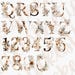 Boho Floral Letters Clipart Bundle, English Alphabet and Numbers ...