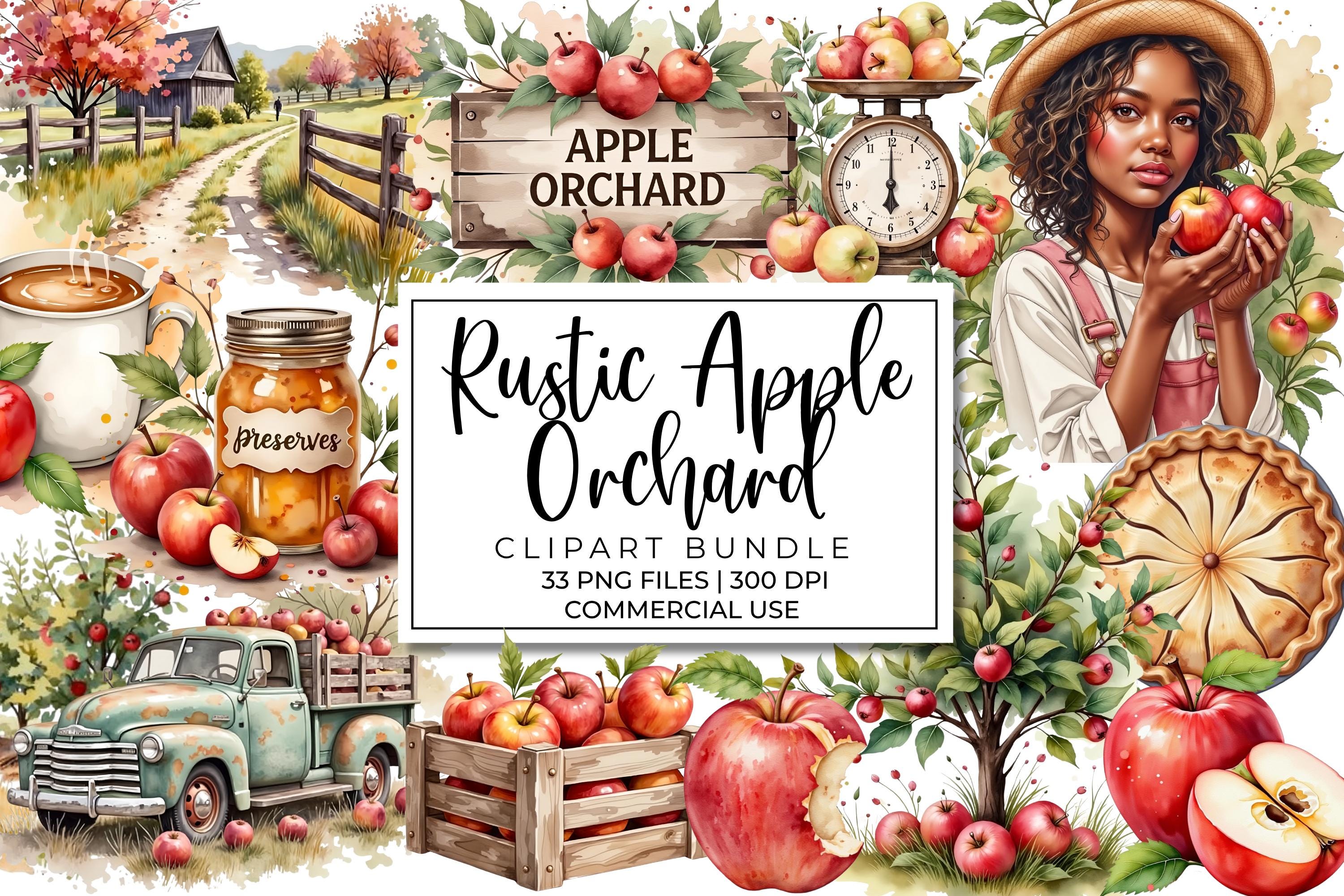 Rustic Apple Orchard Clipart Bundle, Watercolor Fall Apples, Farm ...