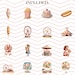 County Fair Clipart Bundle | Vintage Carnival & Farm Ephemera | Cotton ...