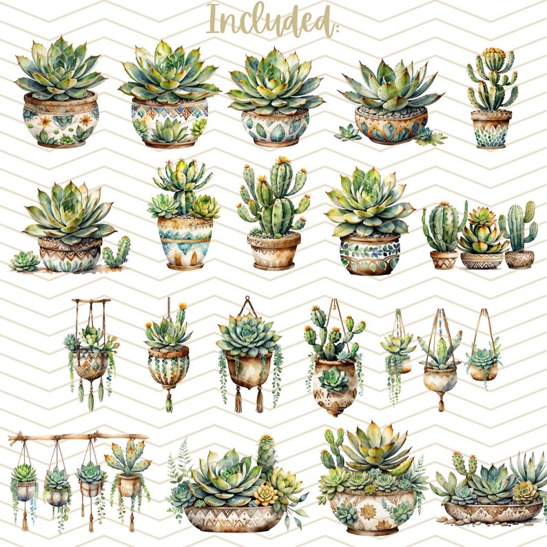 Boho Succulent Clipart Bundle | Watercolor Cactus PNG | Desert Plants ...