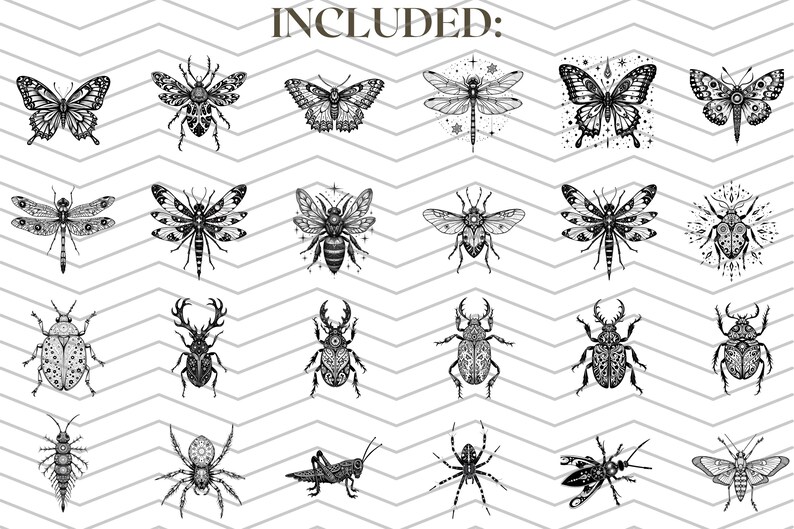 Boho Bug Clipart Bundle – Tribal Pattern Insect Line Art, Moths ...