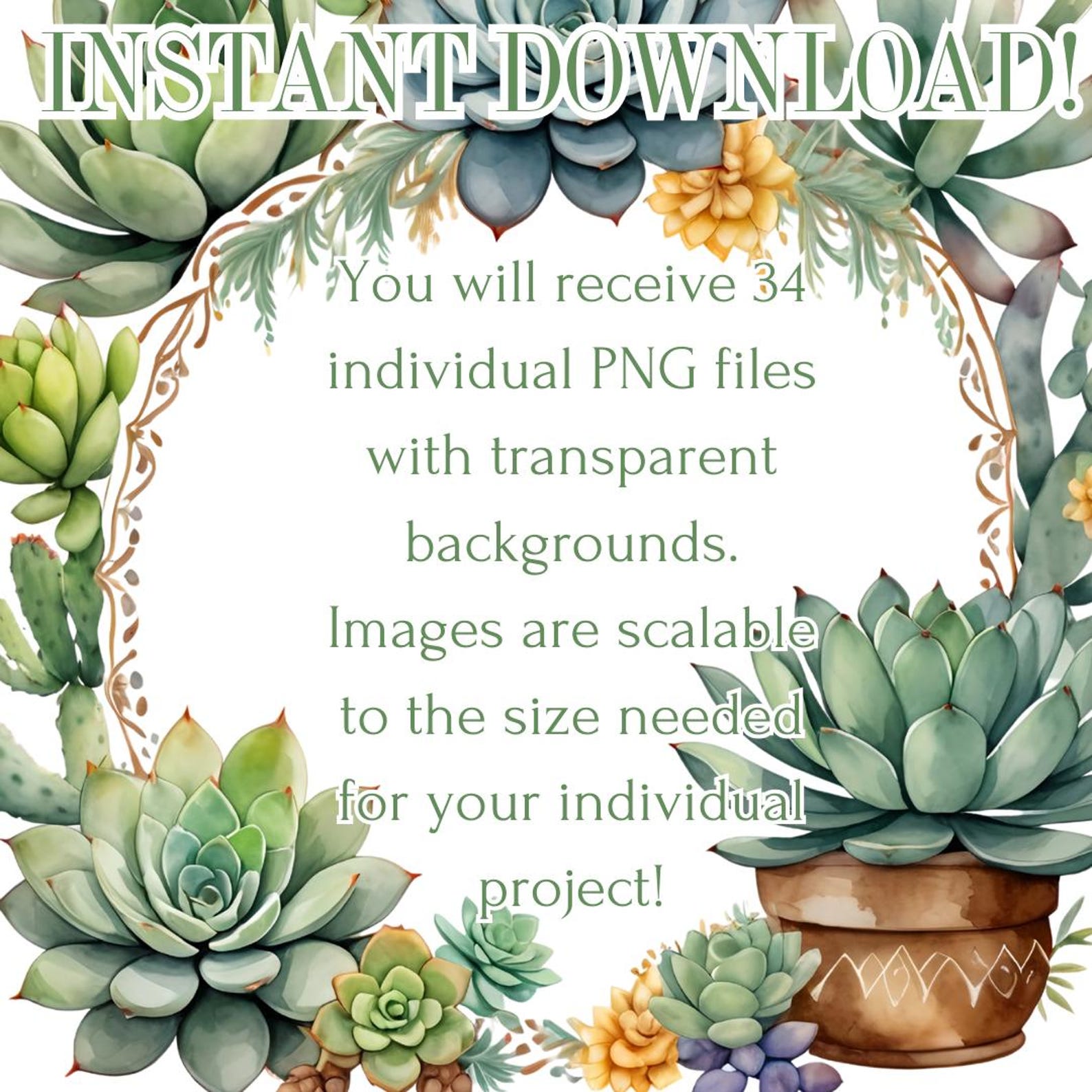 Boho Succulent Clipart Bundle | Watercolor Cactus PNG | Desert Plants ...