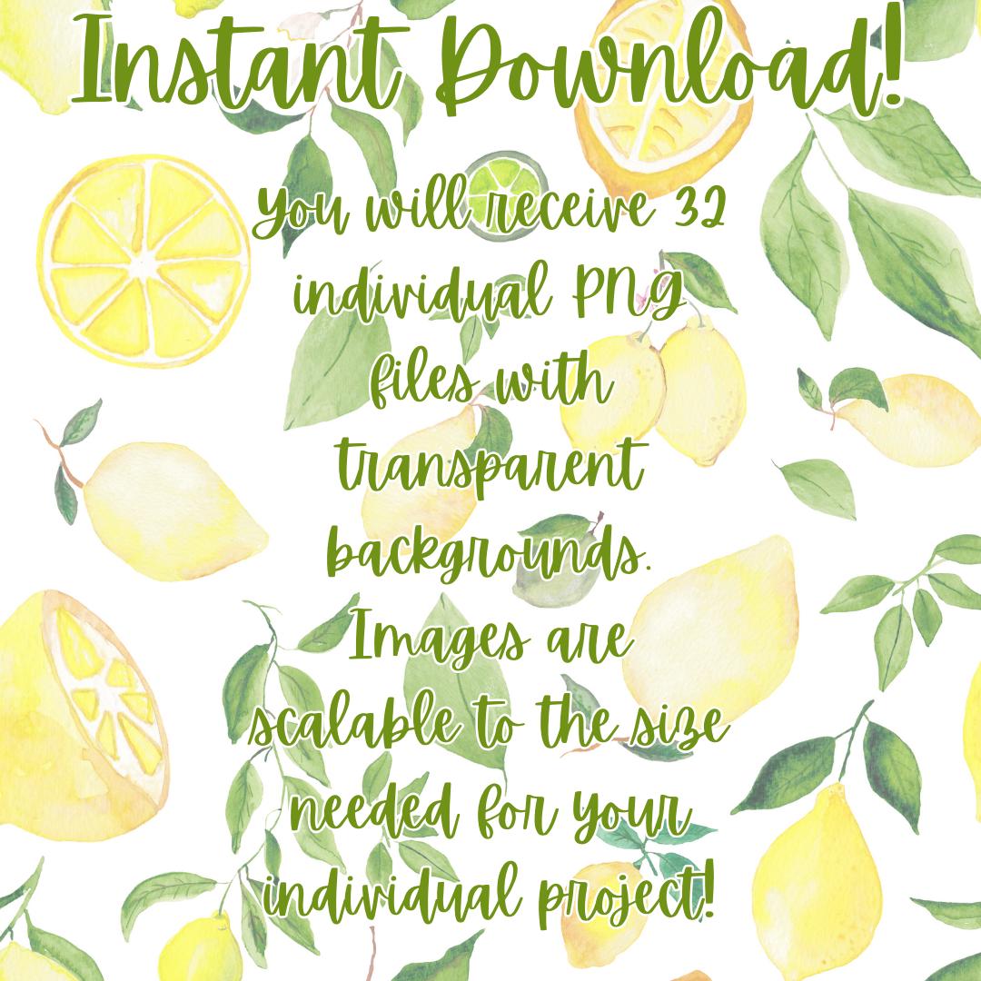 Summer Citrus Clipart Bundle, Lemons, Limes and Oranges Clip Art ...