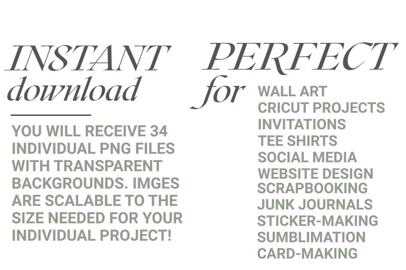 Mushroom Witchcraft Clipart, Dark Fairy Forest Witches, Trippy Fungal ...