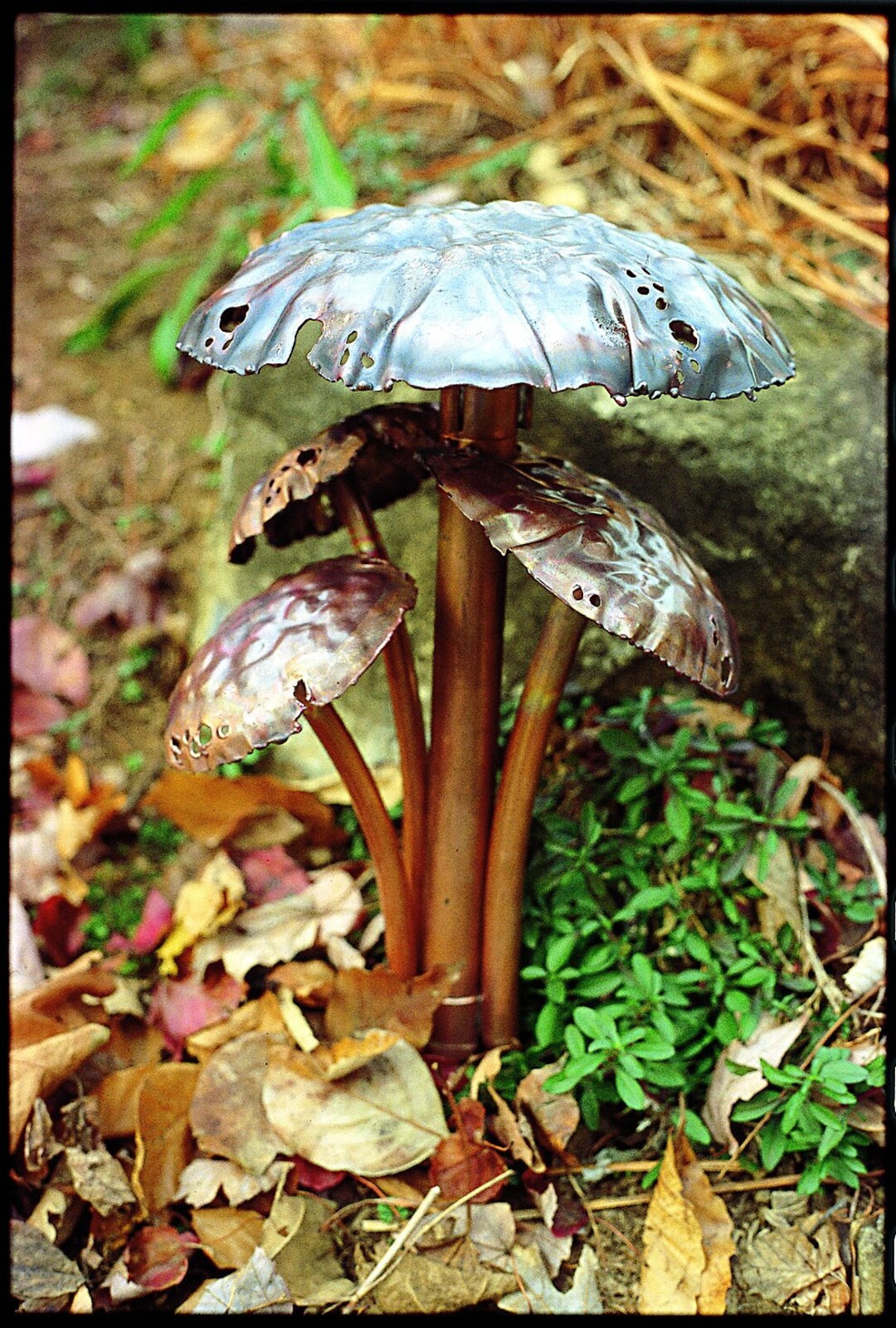 Solid Copper Toadstool 3 - Etsy