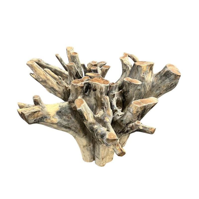 Tree Root Dining Table - Etsy