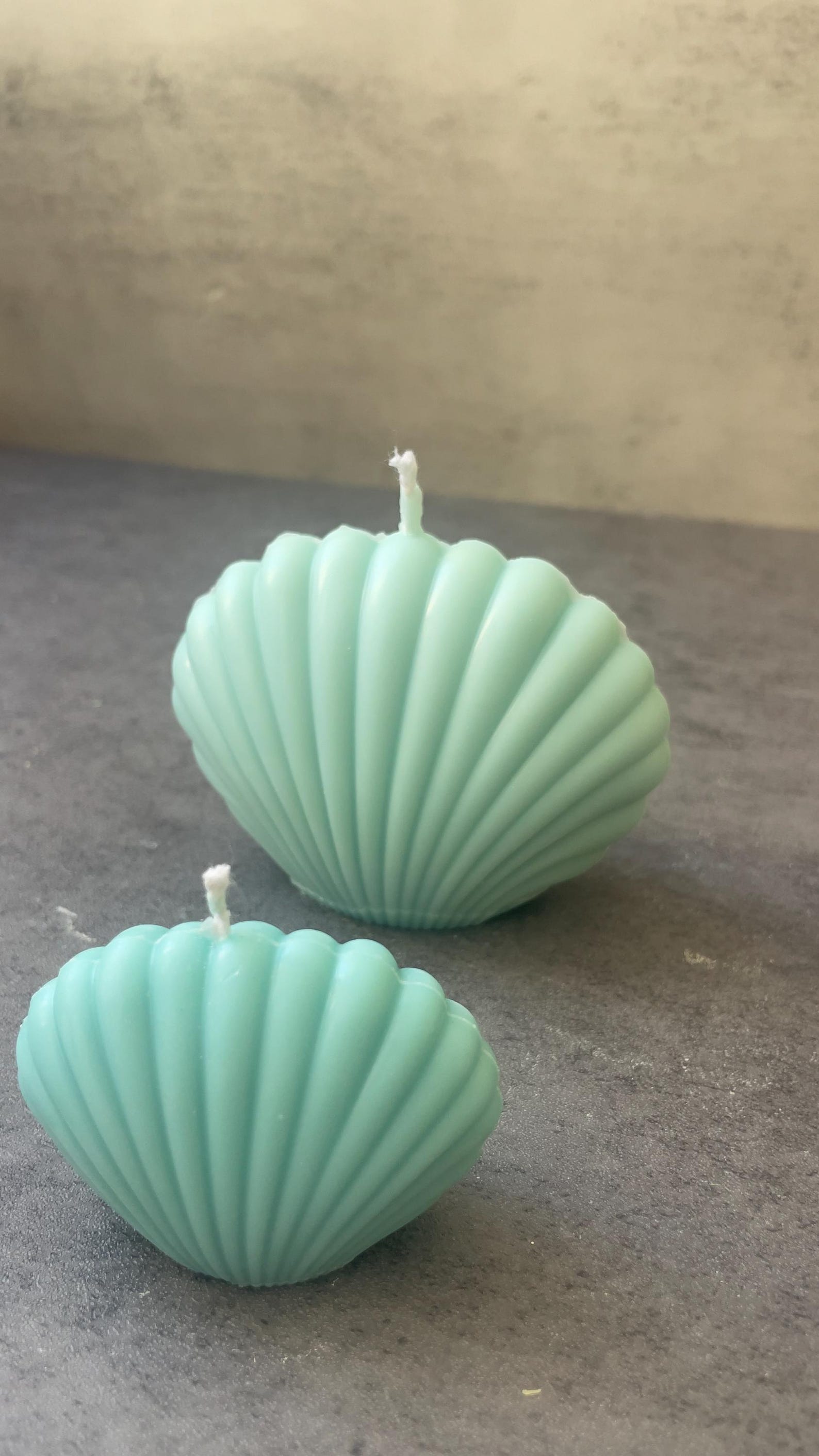 Undyed Sea Shell Candle, Sea Shell Candle, Minimalist, Decorative Soy ...