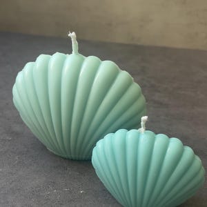 Undyed Sea Shell Candle, Sea Shell Candle, Minimalist, Decorative Soy ...