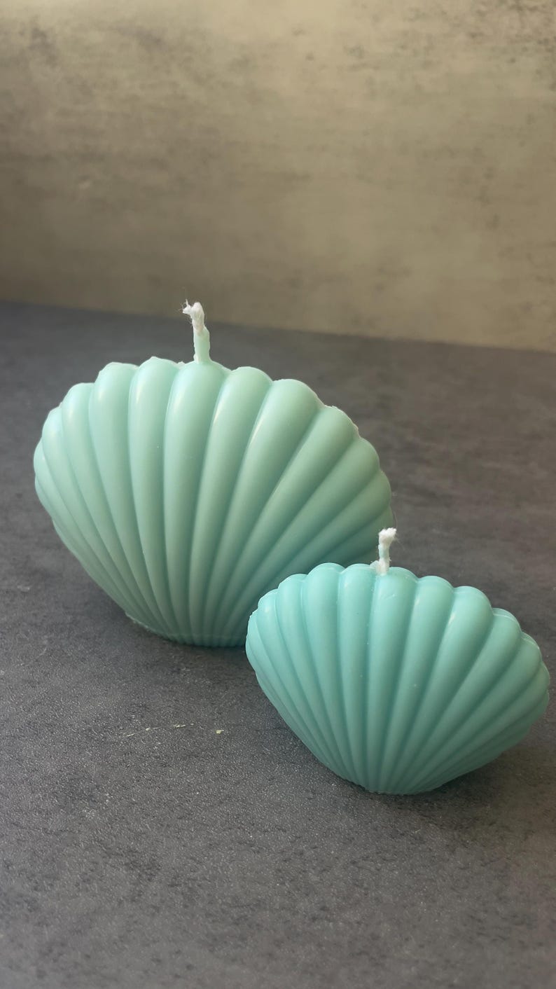 Undyed Sea Shell Candle, Sea Shell Candle, Minimalist, Decorative Soy ...