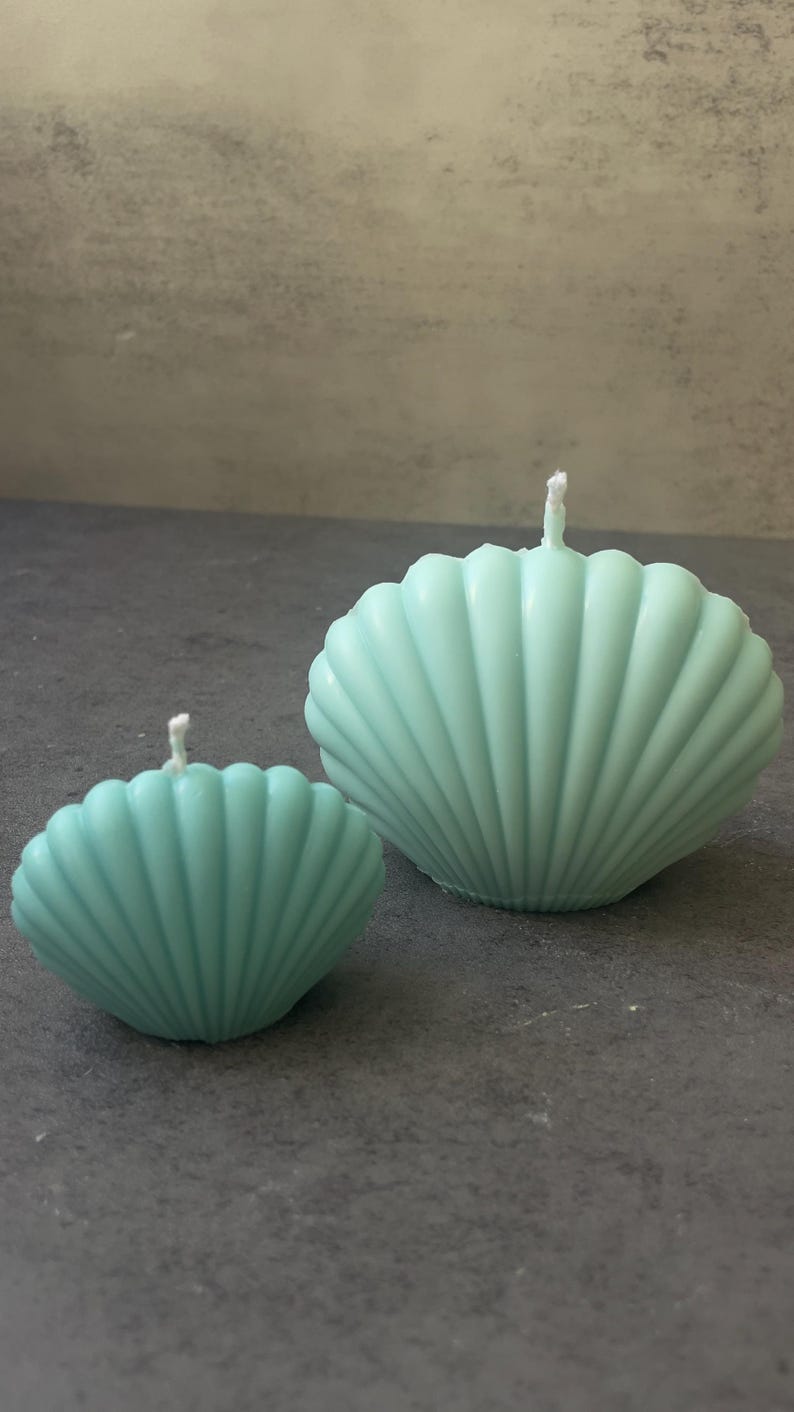 Undyed Sea Shell Candle, Sea Shell Candle, Minimalist, Decorative Soy ...