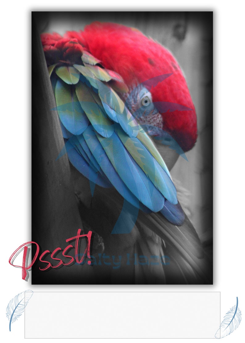 Printable Customizable Parrot Blank Note Card, Greeting Card Instant ...