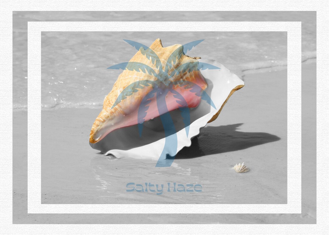 Printable Beach Seaside Conch Shell Blank Note Card, Greeting Card ...