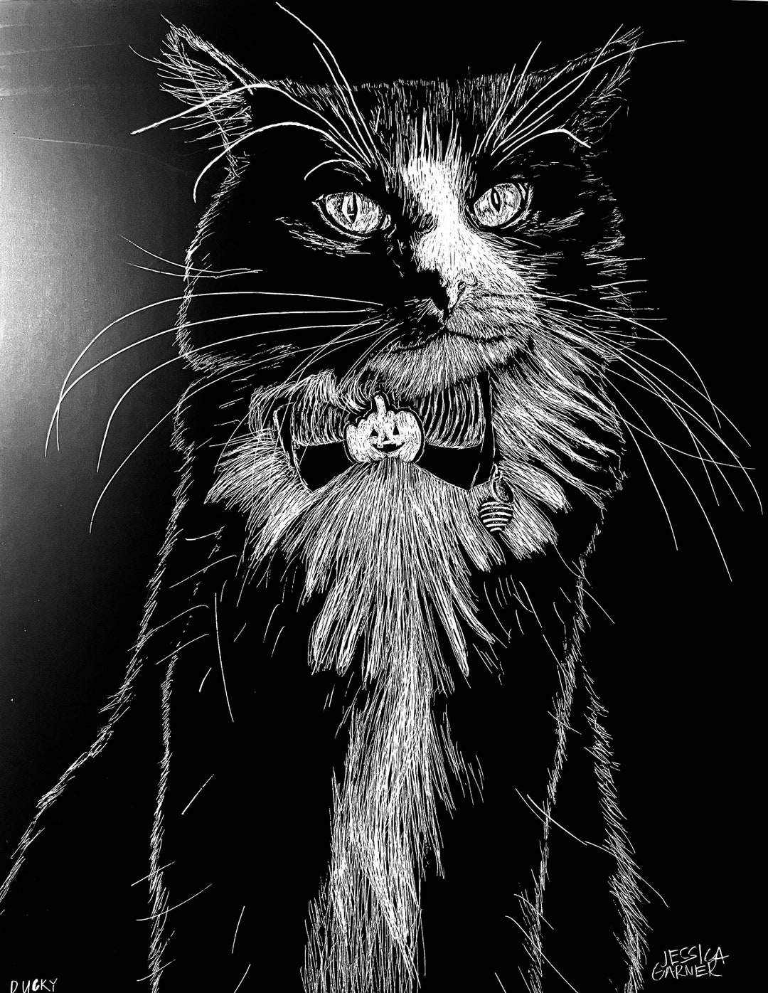 Tuxedo Cat Scratchboard Print - Etsy