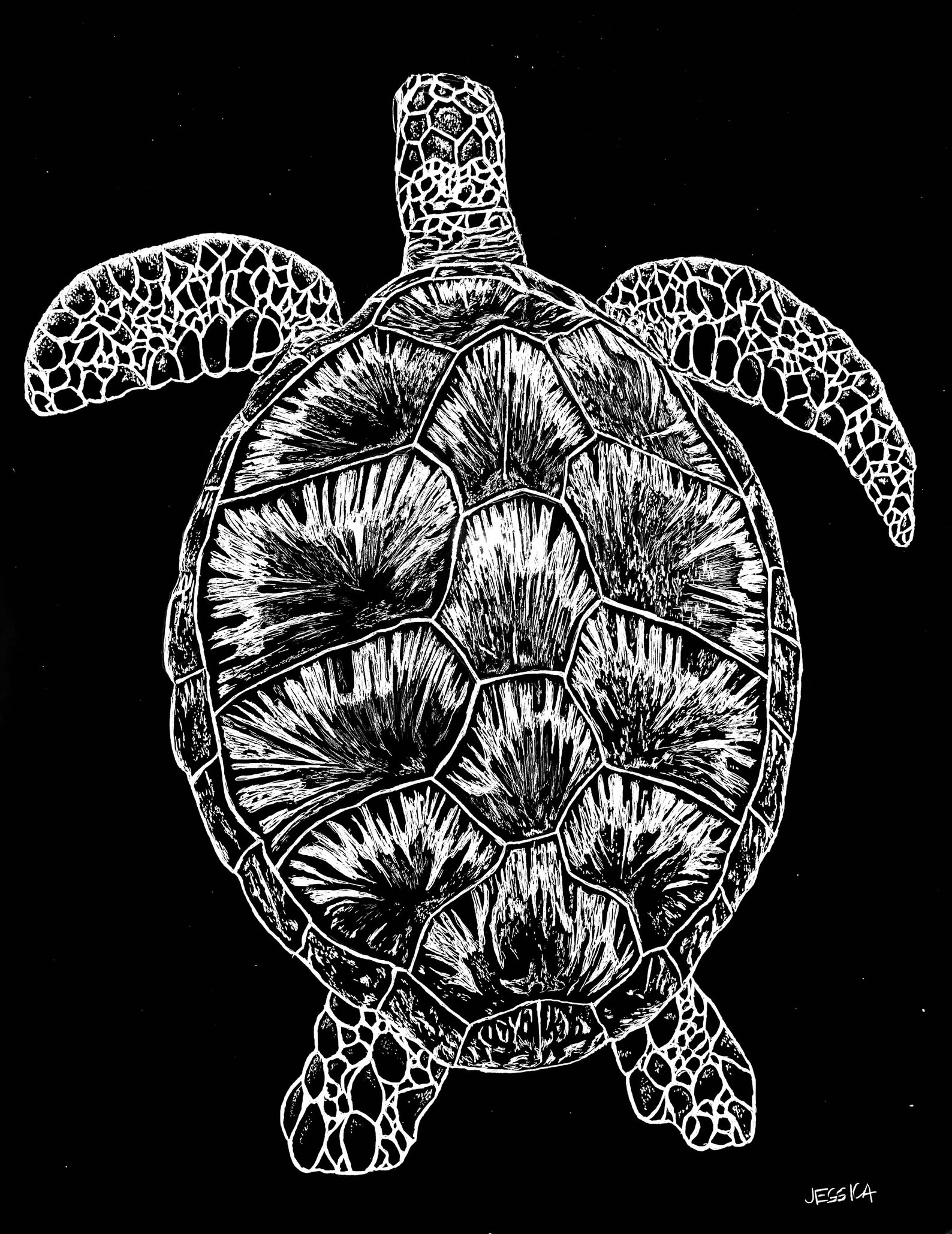 Sea Turtle Scratch Art! - Etsy