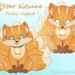 Kitsune Magical Fox Vtuber Pet - Customizable Vtuber - Live2d Avatar - Etsy