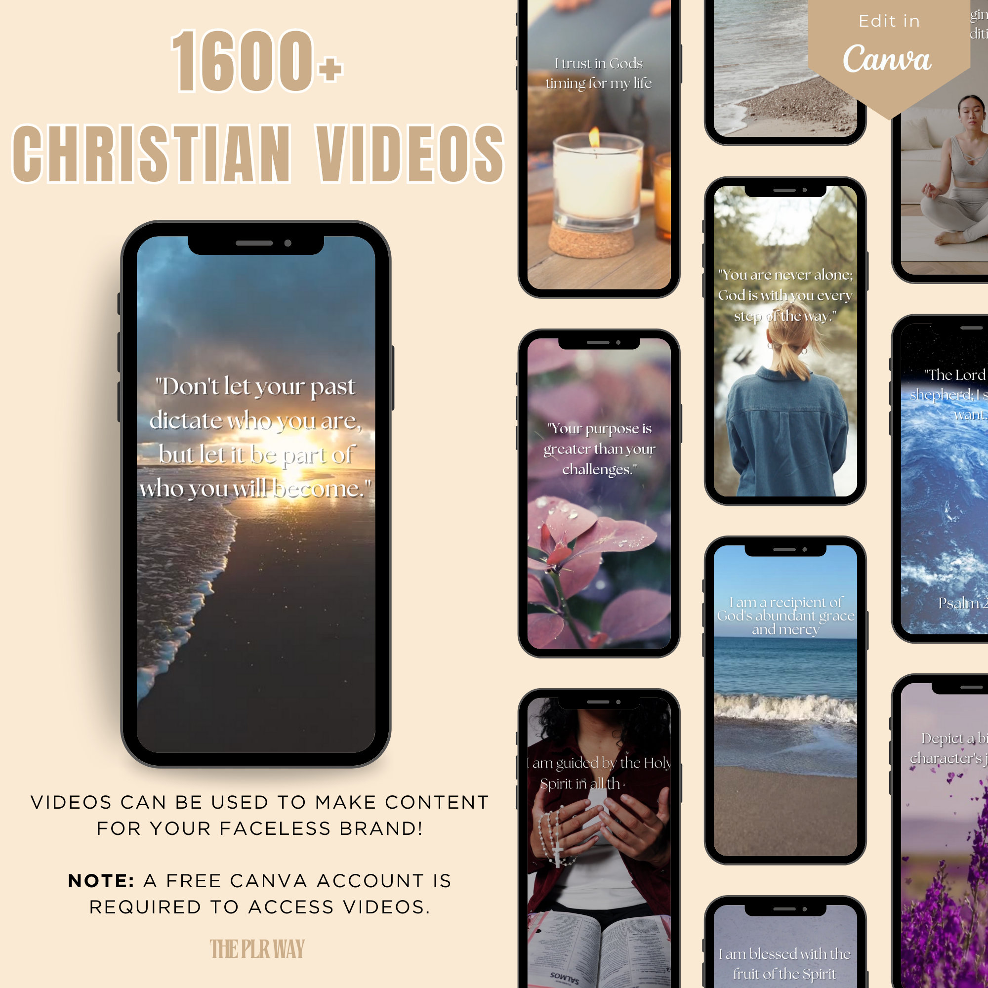 1600+ Christian Reels Bundle Bible Quotes Faith Affirmations With PLR ...