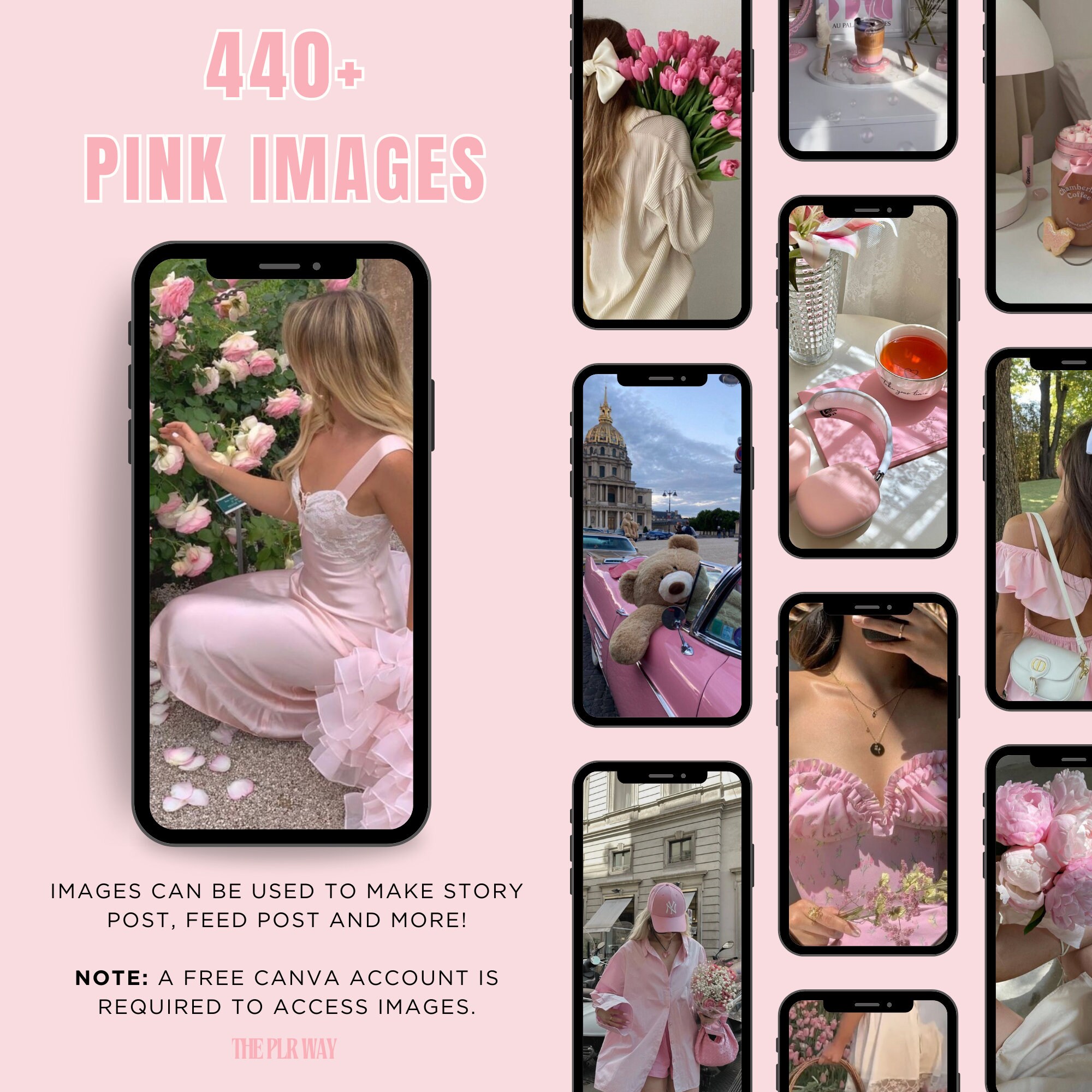 1100+ Pink Aesthetic Faceless Reels Bundle + Story Photos With PLR ...