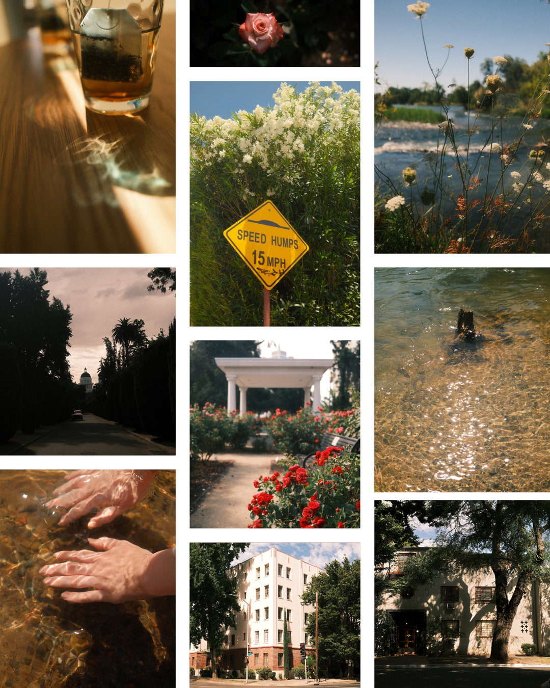 20 Vintage Film Style Photographs Sacramento, California Fujifilm - Etsy