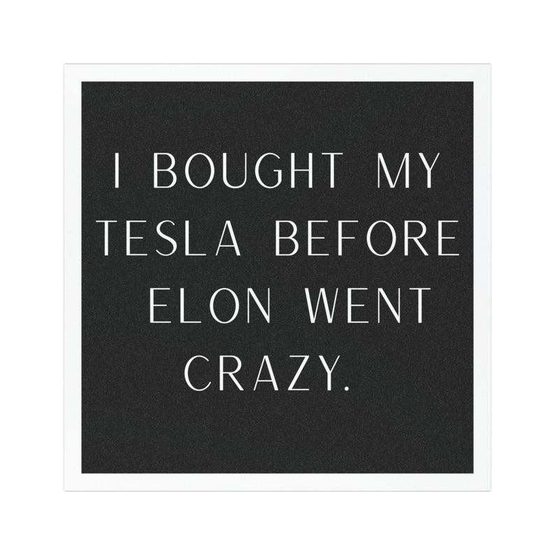 Before Elon Went Crazy Tesla Car Magnet - Etsy