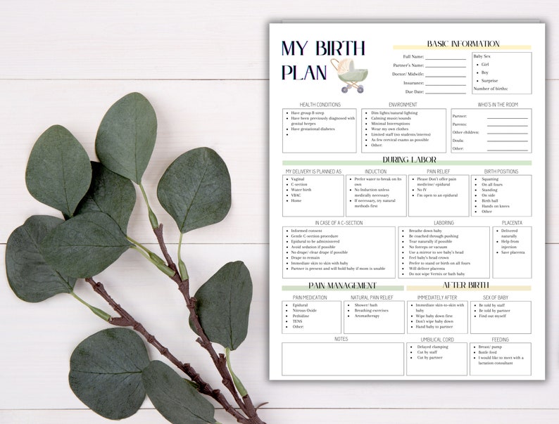 Birth Plan Template, Birth Plan Printable, Natural Birth Plan, Simple ...