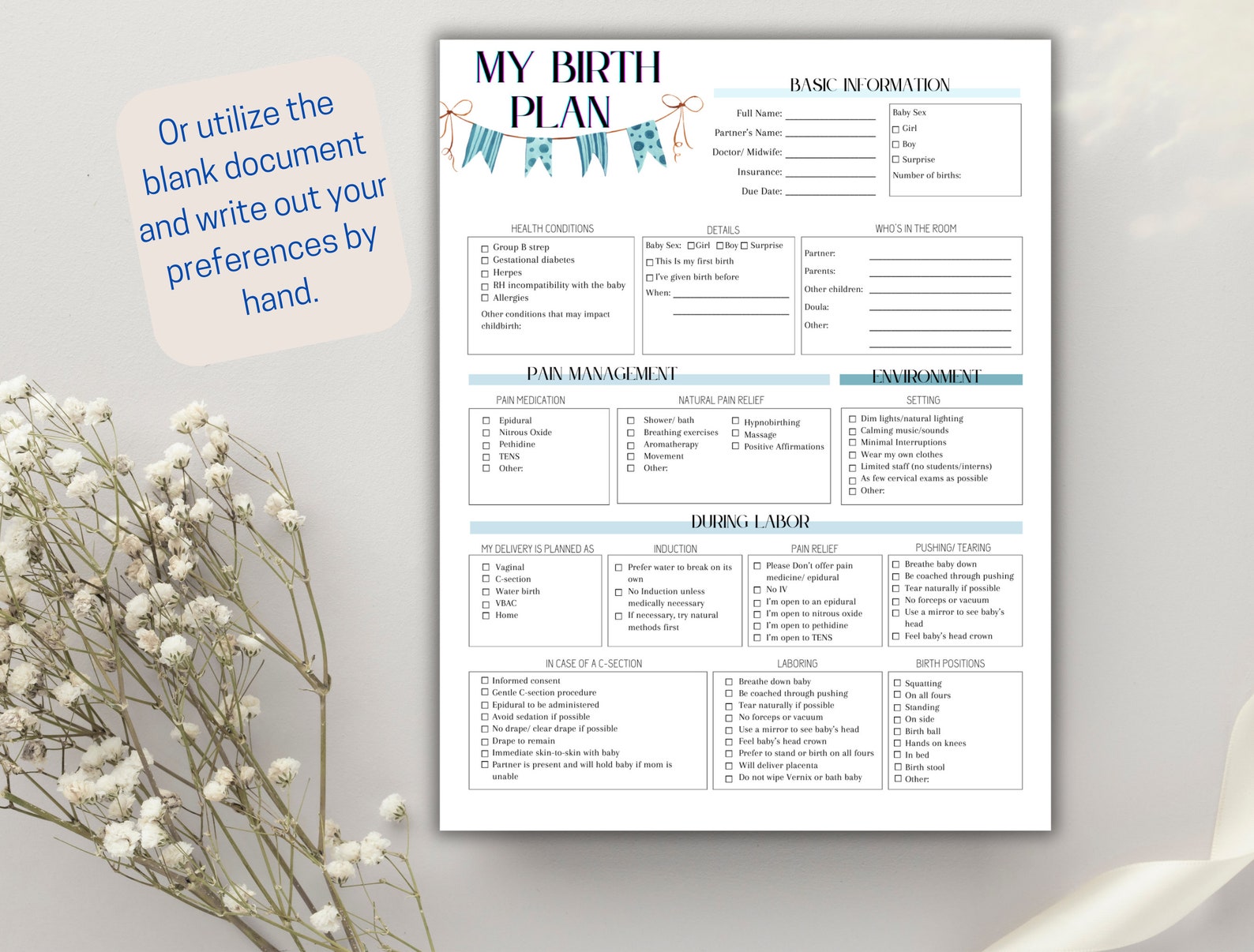 Birth Preferences Template, Birth Plan Printable, Natural Birth Plan ...