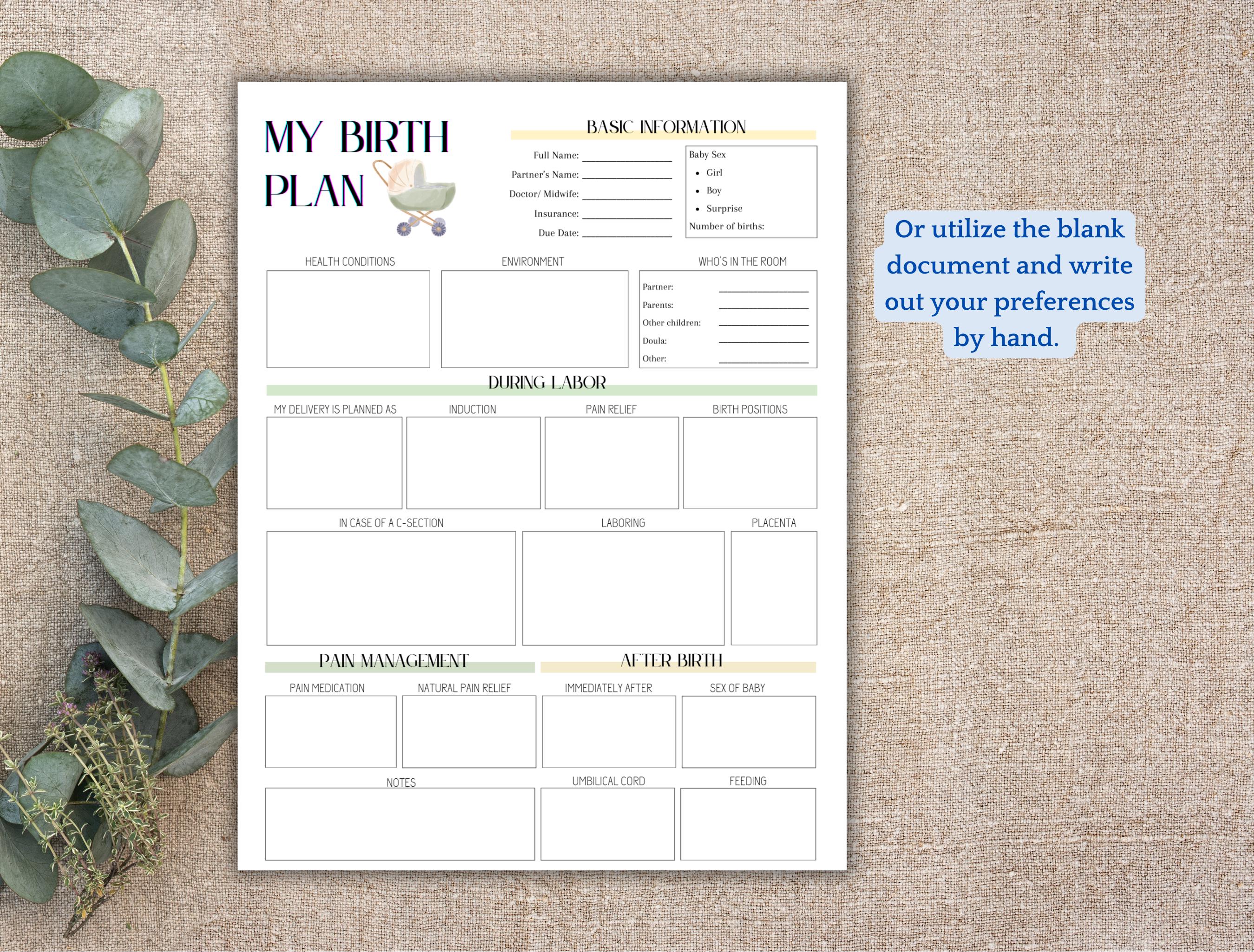 Birth Plan Template, Birth Plan Printable, Natural Birth Plan, Simple ...