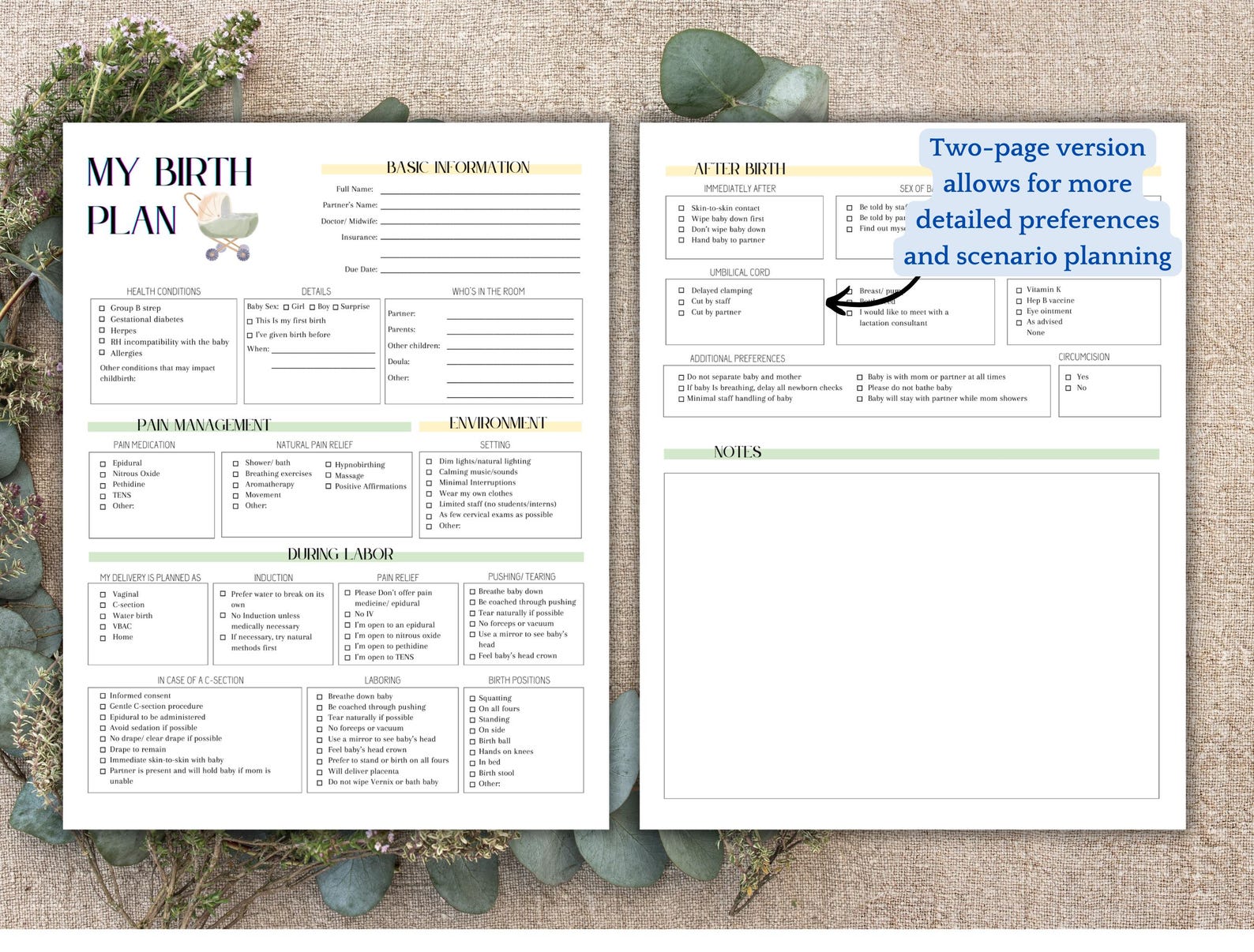 Birth Plan Template, Birth Plan Printable, Natural Birth Plan, Simple ...