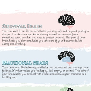 Survival, Emotional and Smart Brain - Sorting Activity for Kids and ...