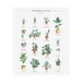 Houseplants Chart Wall Art Print - Etsy