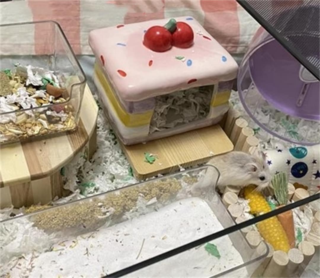 Cake Hamster Hideout,hamster Playhouse Supplies,sugar Glider Ceramics ...