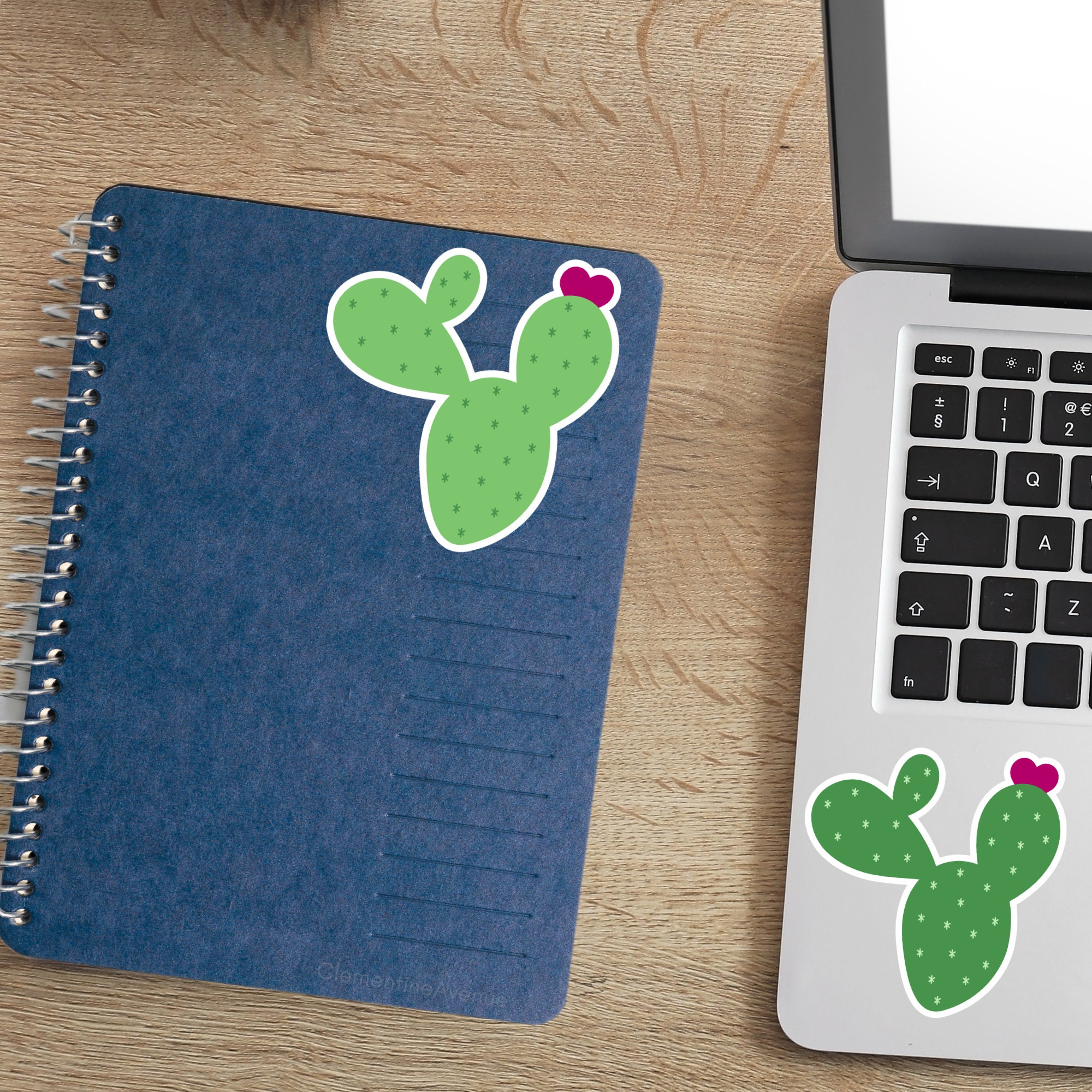 Cactus Sticker Succulent Plant Mom Desert Water Bottle Laptop Phone ...