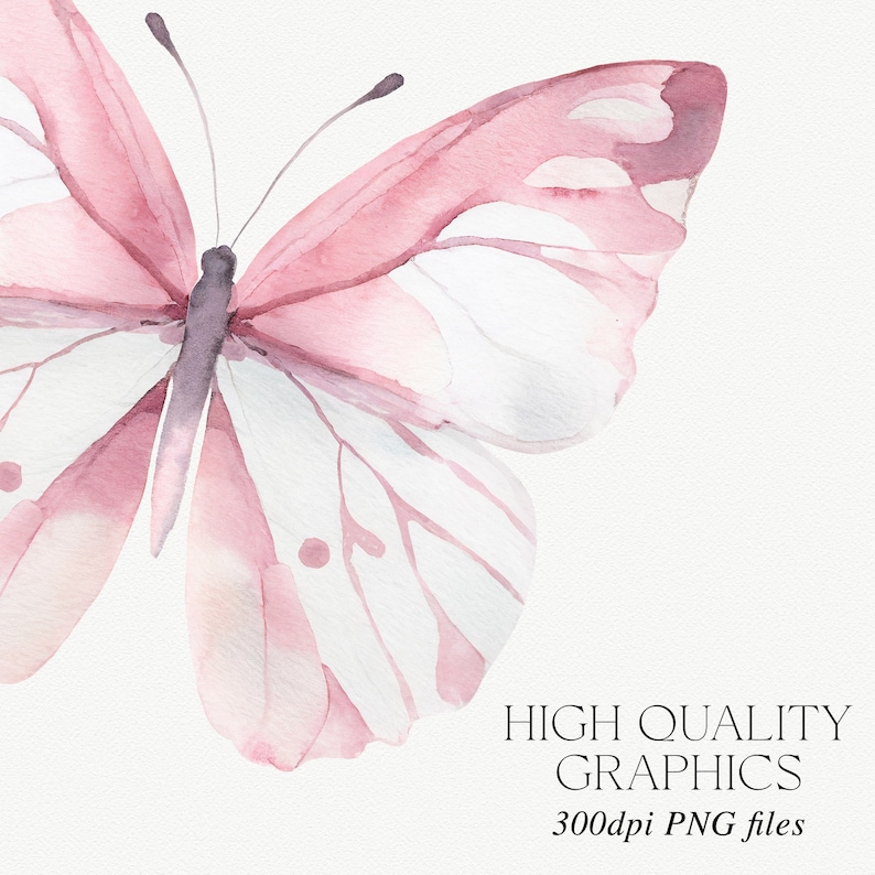 Pink Watercolor Butterfly Clipart: Pastel PNG Graphics (25 Files) - Etsy