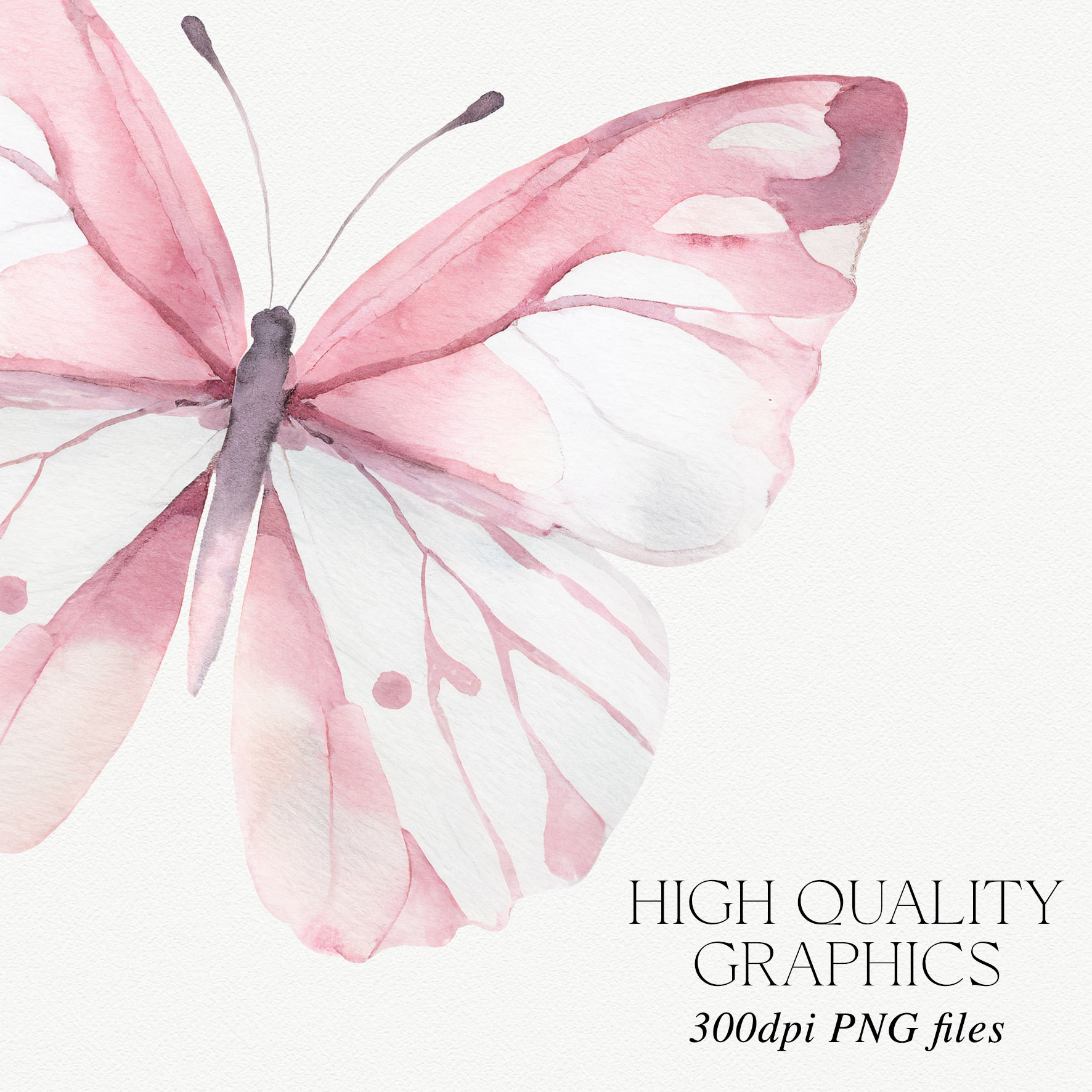 Butterfly Clipart, Pink Watercolor Butterflies, Soft Pink Butterfly ...