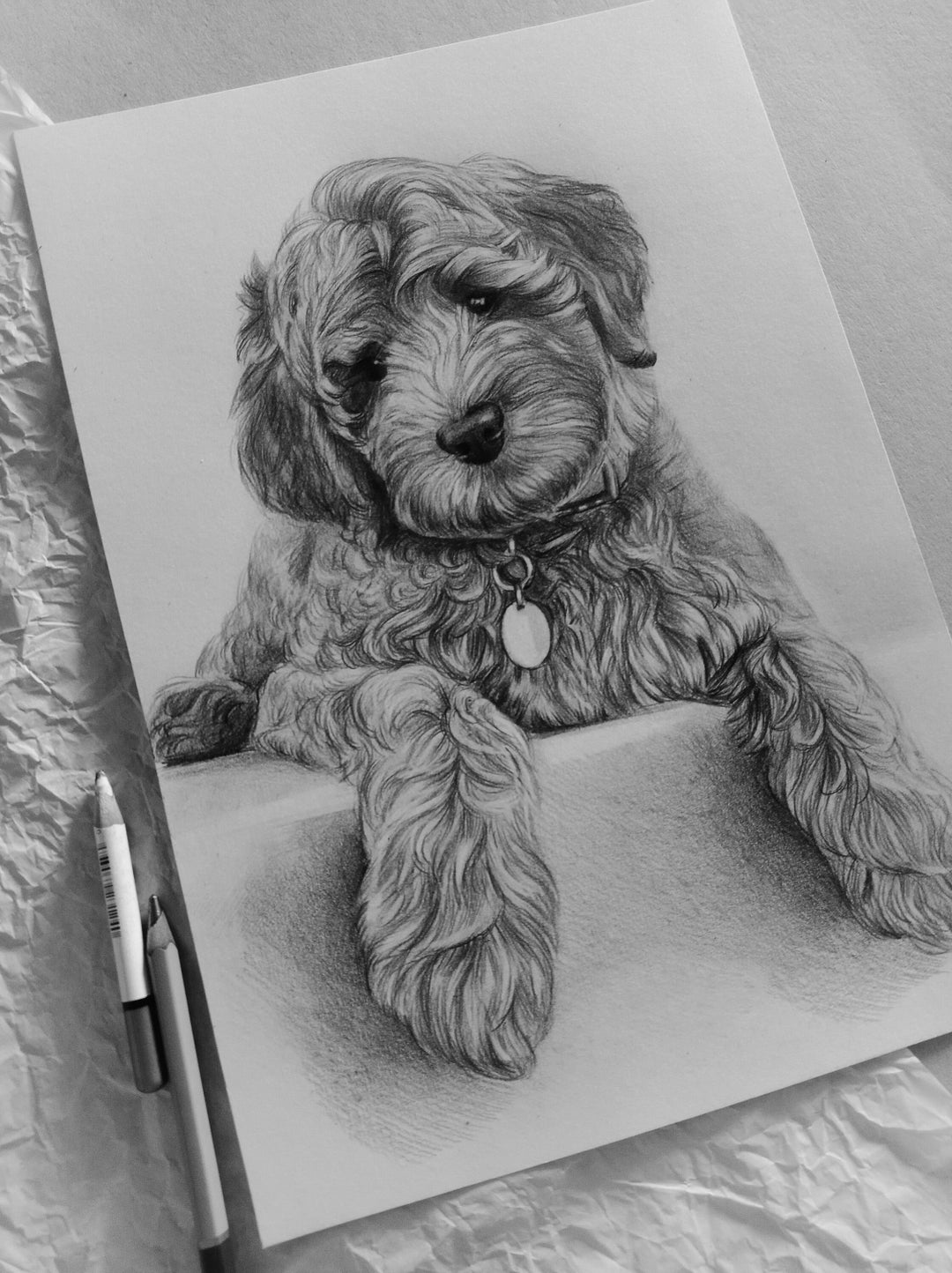 Pet Portrait From Photo, Personalized Portraits for Dogs and Cats ...