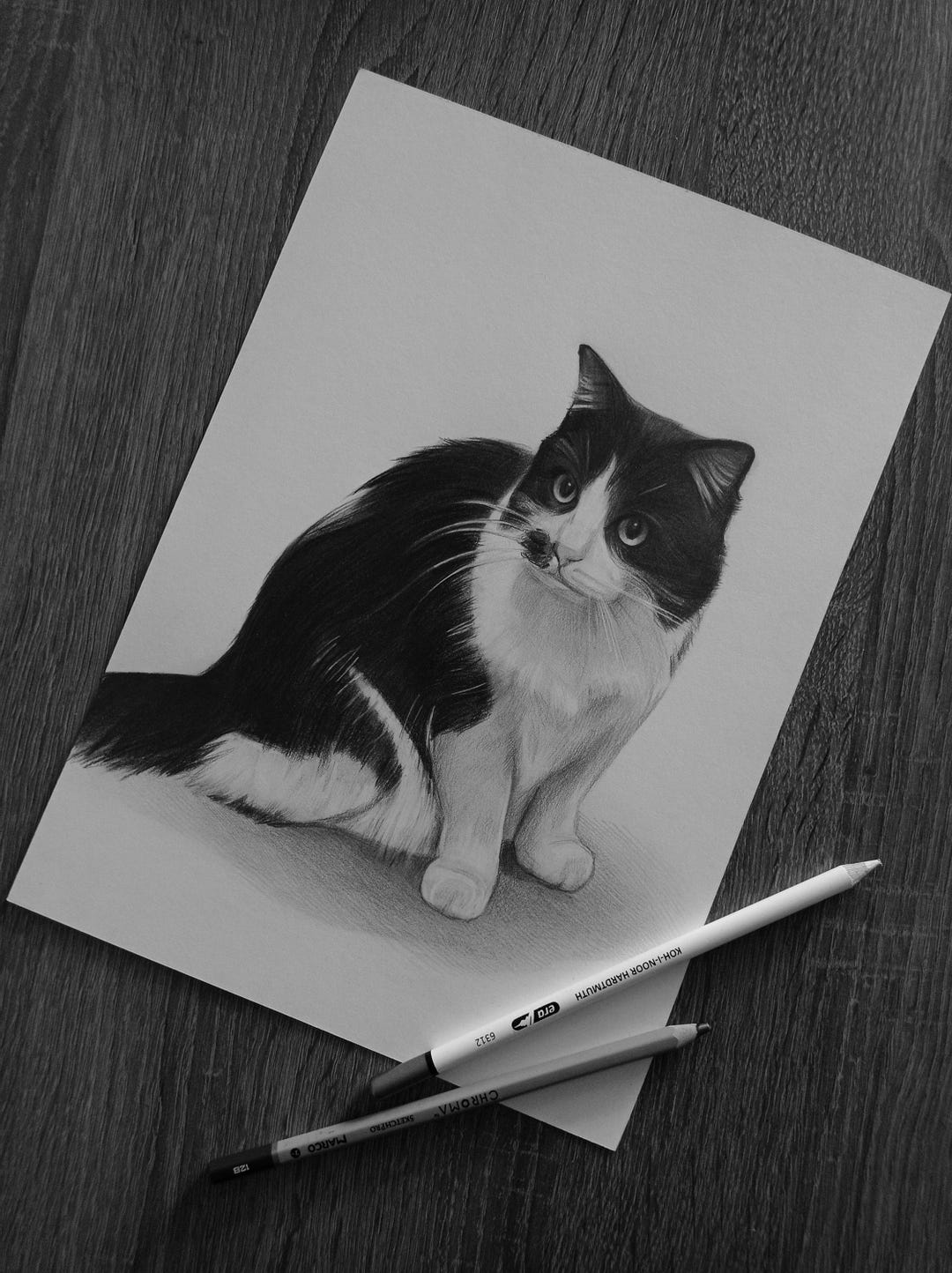 Hand Drawn Cat Portrait From Photo: Custom Graphite Pet Memorial Art - Etsy