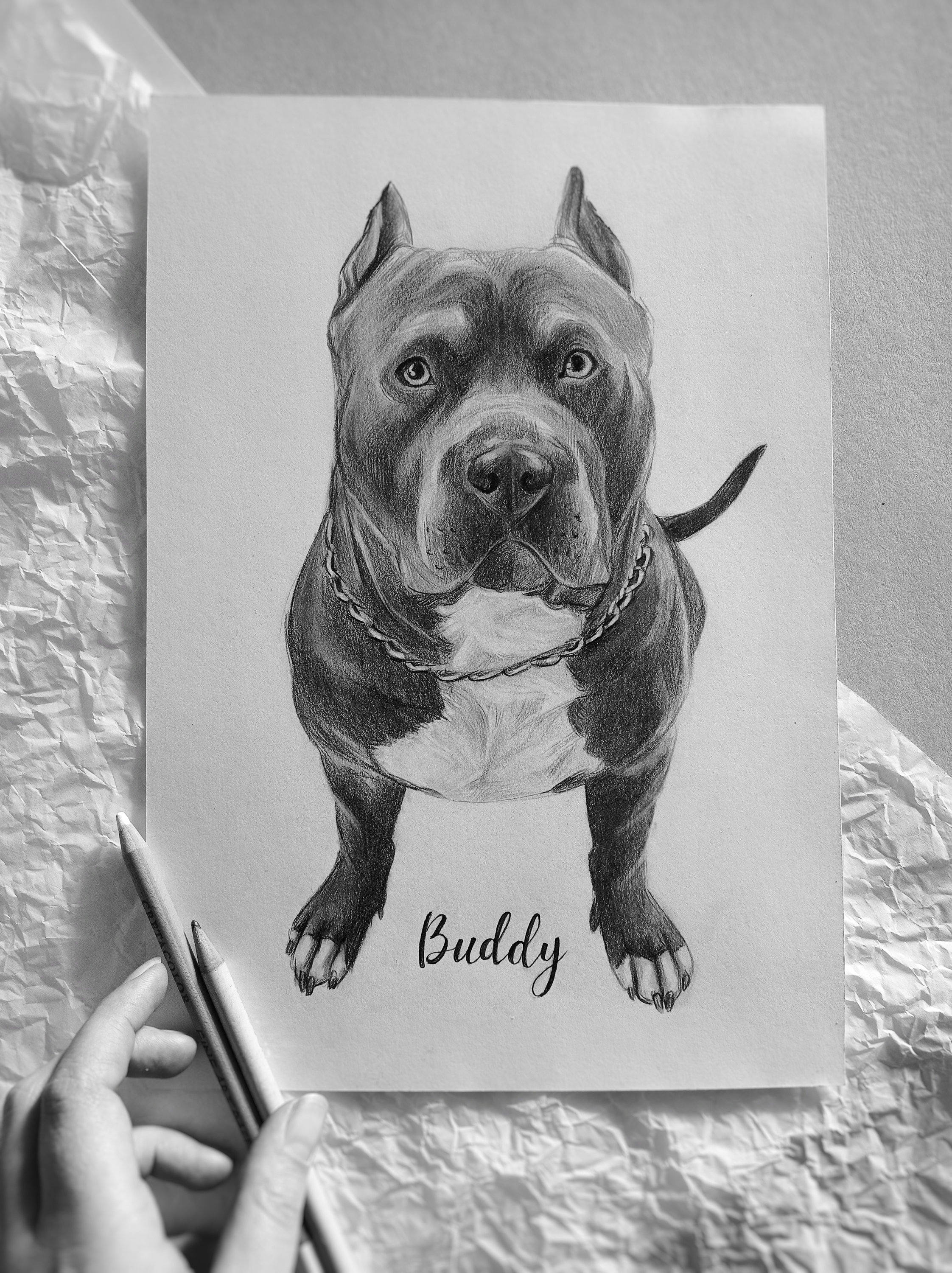 Custom Pet Portrait From Photo: Hand-drawn Graphite Pencil Animal ...