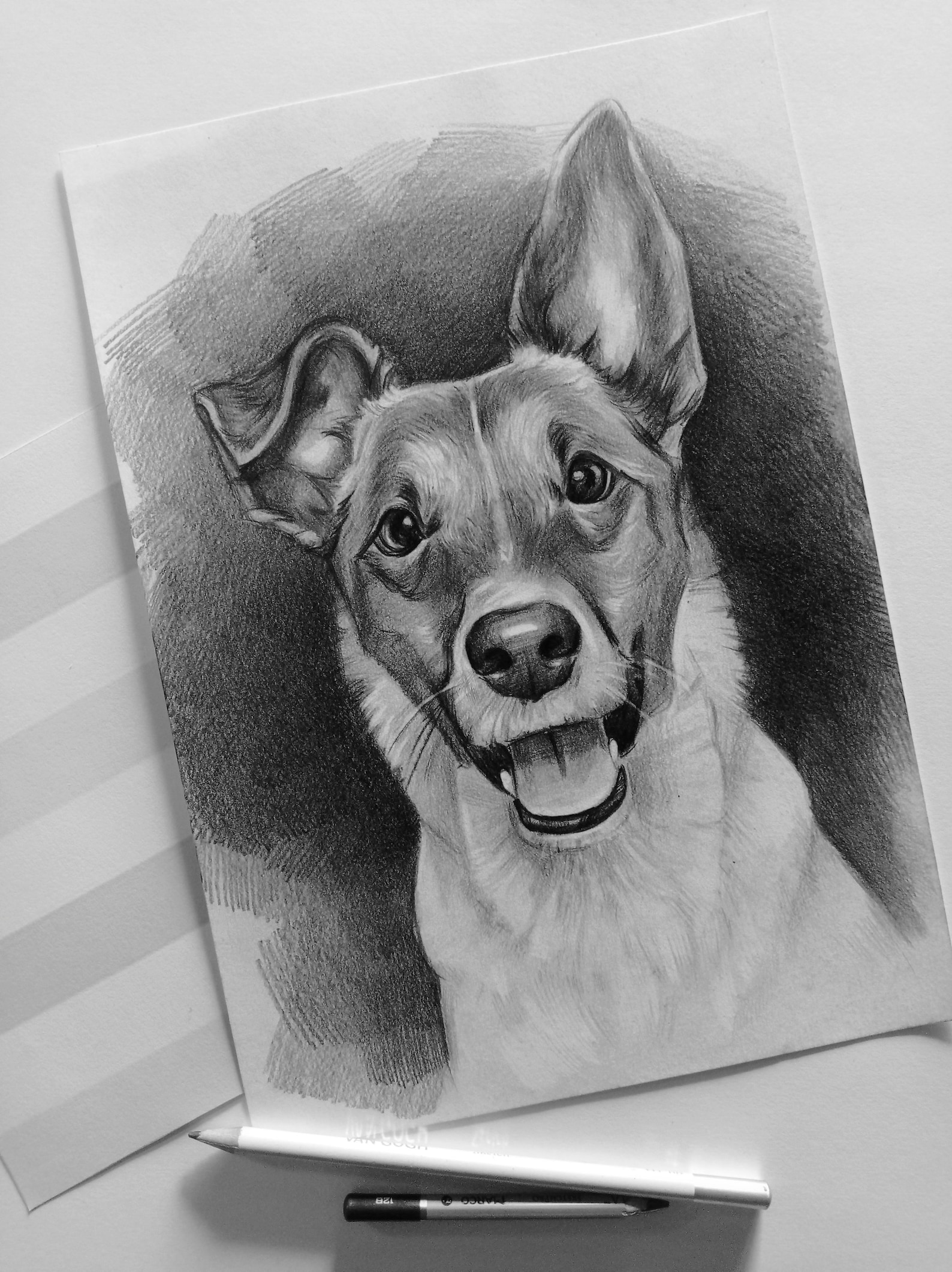 Custom Pet Portrait From Photo: Hand-drawn Graphite Pencil Animal ...