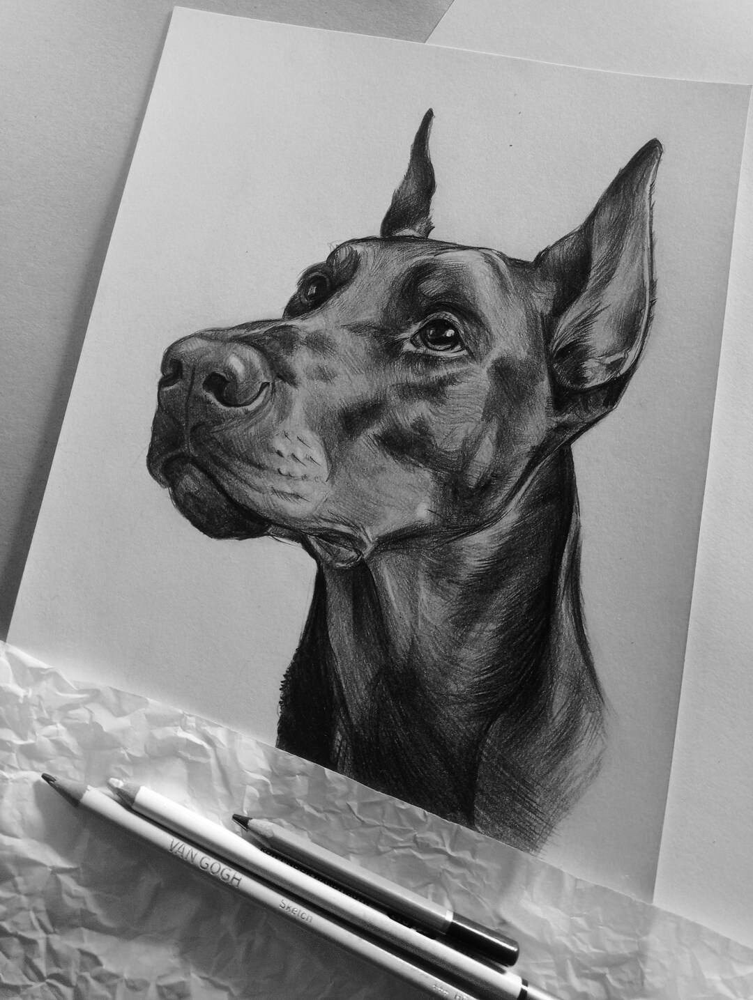 Custom Pet Portrait, Pencil Drawing From Photo, Hand Drawn Pets ...