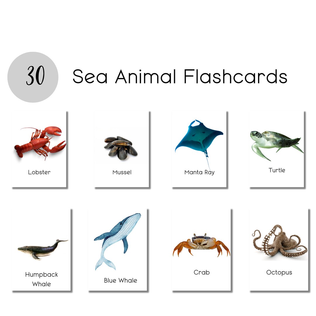 Printable Montessori Sea Animal Flashcards for Kids, Sea Creature ...