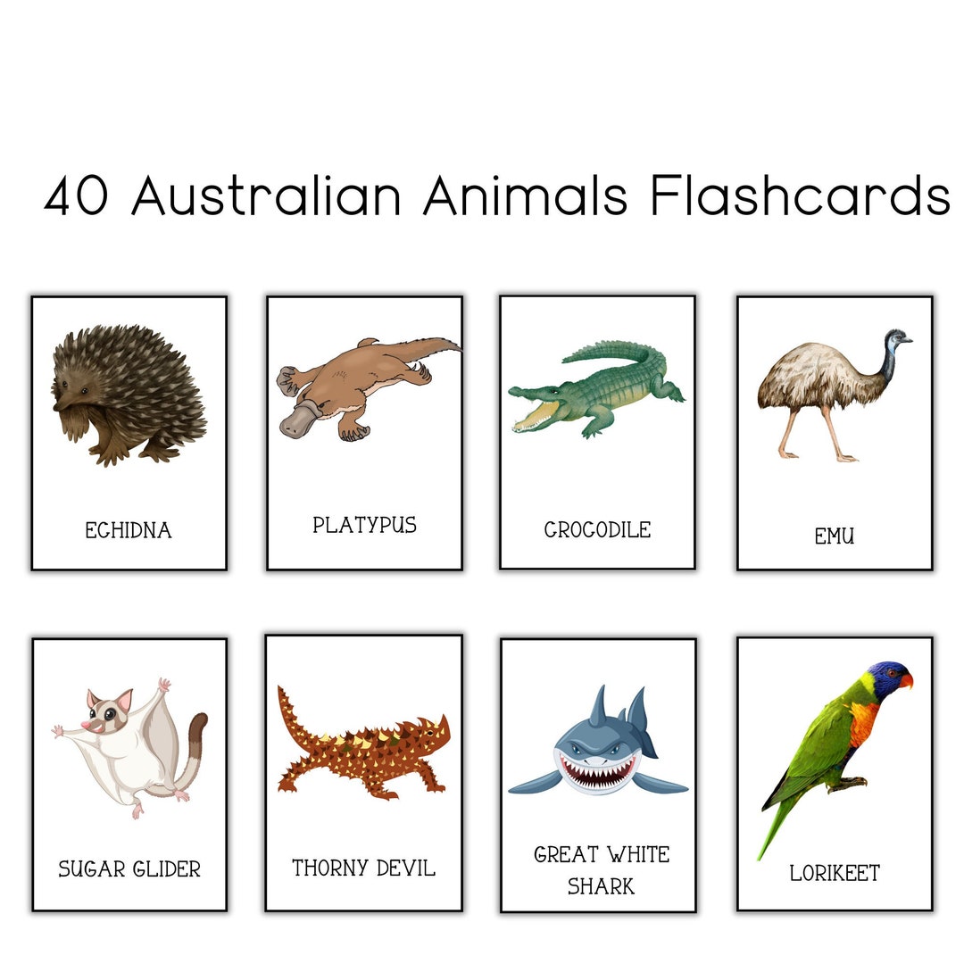 40 Printable Australian Animal Montessori Flashcards for Toddlers ...